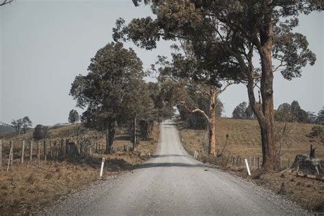 Guide To Comboyne Nsw Wiki Australia