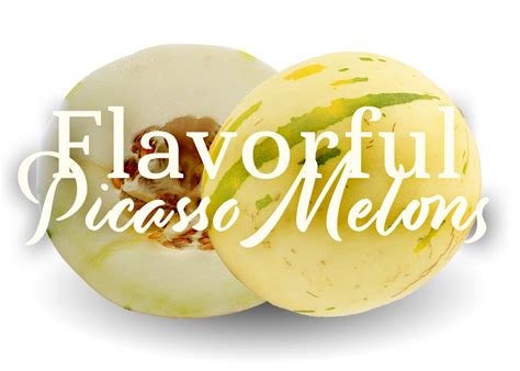 Fresh Picasso Melons Majesty Five Crowns Marketing