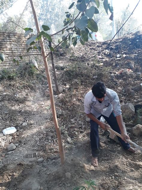 Mission Green Burari Vriksh Mitra Parivaar In North Delhi Mission Green Delhi