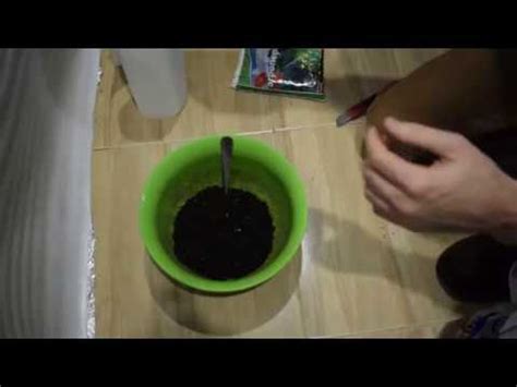 Мой грунт для цитрусов и других экзотических растений - YouTube