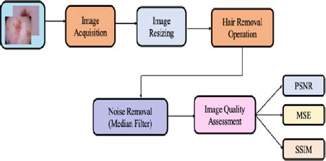Figure 3 From Investigation Of Denoising Techniques For Removal Of Hair