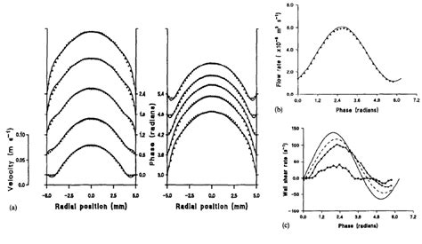 7 The Pulsatile Behaviour Of A The Pulsating Velocity Profiles B