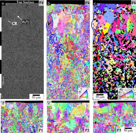 A Sem Micrograph In Bse Mode Of The Top Layers Of Sample P4 The