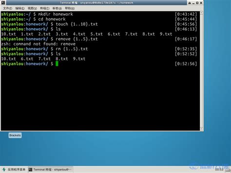 Linux 目录结构及文件基本操作 蓝桥云课