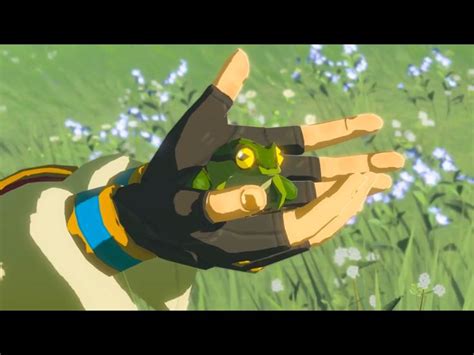 Pin By Chad On Legend Of Zelda Frog Art Frog Illustration Anime Movies