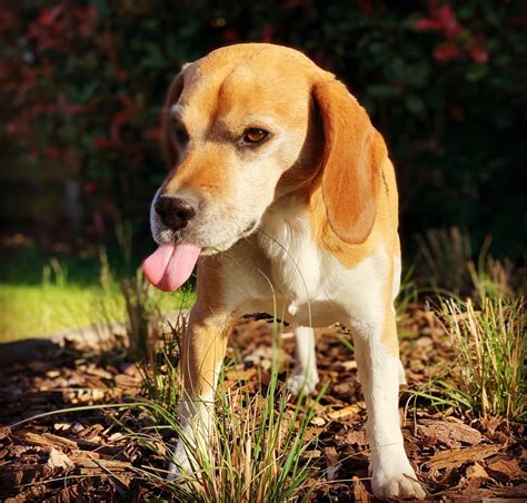 Bitcon Smart It Solutions Your Partner In The Digital World