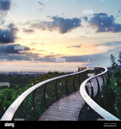 Tree Canopy Walkway Stock Photos Tree Canopy Walkway Stock Images Alamy