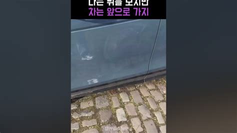 나는 뒤를 보지만 차는 앞으로 가지 네이버 Tv