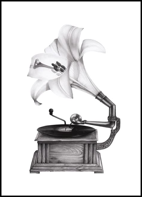 Playful Lily Poster By Sanna Wieslander Posteryard Snygga Posters Online