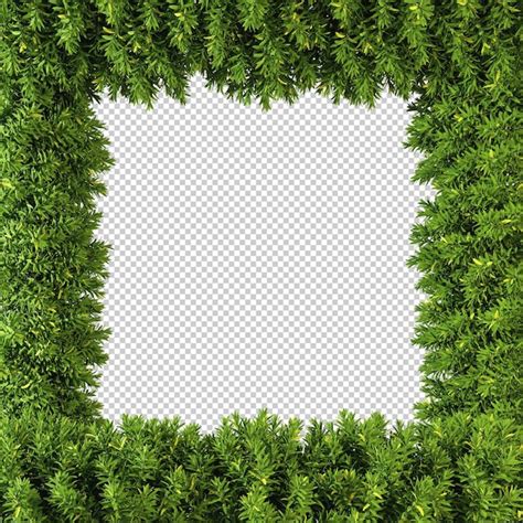 Premium Psd Nature Green Tree Plants Rectangle Frame 3d Rendering