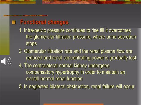 Obstructive Uropathy Online Pptx Digestive Disorders Diseases And Conditions