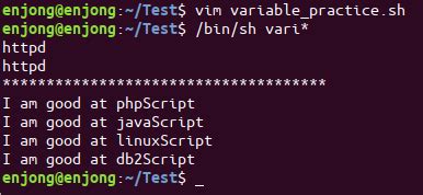 Linux shell编程与实践一之shell变量的使用及输入输出 Bit bo 博客园