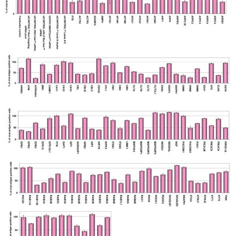 Development Of An Image Based Denv Detection Assay For Sirna Screening