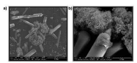 Scanning Electron Micrographs At Different Magnifications A 1000x And