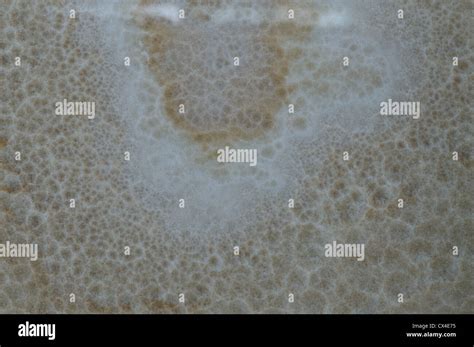 Cross Section Of Stone Stock Photo Alamy