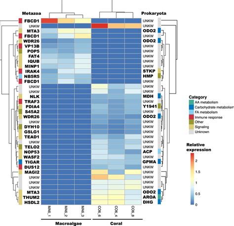 Heatmap Depicting The Expression Level Of The Differentially Expressed