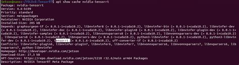 Run Yolov N On A Jetson Nano Issue Triple Mu YOLOv TensorRT GitHub