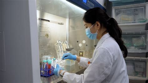 Isolation Culture And Characterization Of Primary Dermal Fibroblasts