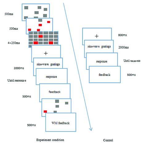 The Experimental Flow Chart Of The Working Memory Task When It Was