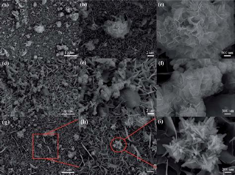 Low And High Magnified SEM Images Of A C MnMoO Nanosheets D F Download Scientific