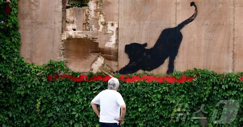 [포토]뱅크시 런던 연작 6번째 주인공은 검정 고양이