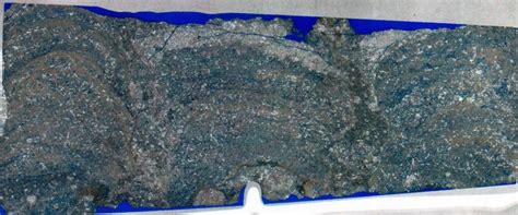 How To Describe And Interpret Carbonate Thin Sections Applied