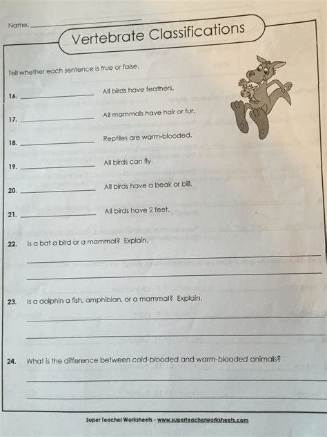 Transition Words Worksheets Worksheets Library