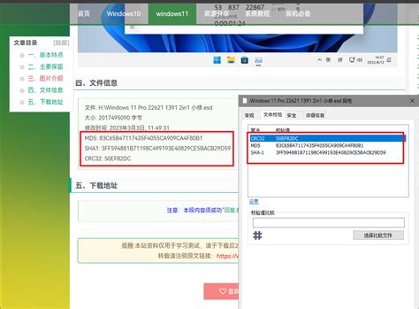 小修 windows 11 pro 22621 1391 轻度精简 游戏版 二合一 远景论坛 前沿科技与智慧生态的极客社区