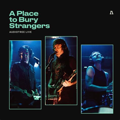 A Place To Bury Strangers Albums Songs Discography Biography And