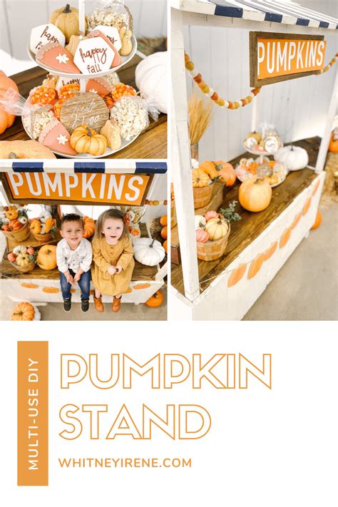 Diy Pumpkin Stand Whitney Irene