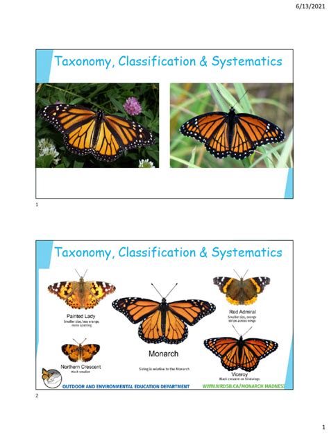 Taxonomy And Classification Pdf Taxonomy Biology Taxon