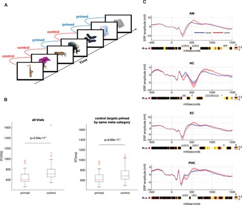 Design Erps And Behavioral Data A Participants Performed A Manmade Download Scientific
