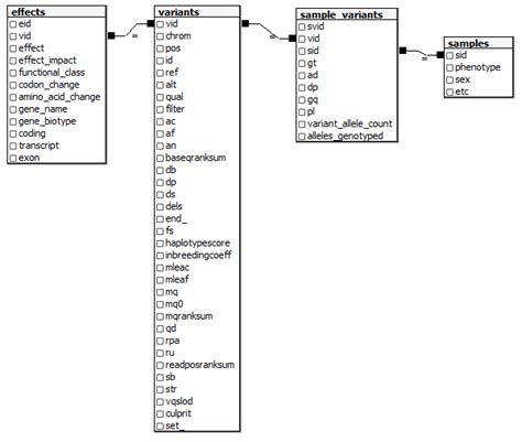 Exome Sequencing Pipeline Using GATK