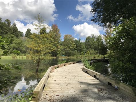 Rhododendronlakenaturepark 8 Greetings From The Past