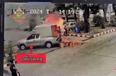 Pickup Truck In Thailand Carrying Fighting Cocks Worth S360 Each