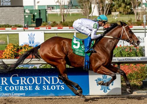 Louisiana Thoroughbred Breeders Association New Orleans La