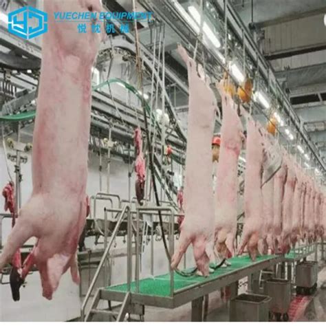 Automatic Pig Swine Pork Meat Processing Equipment Hog Slaughter Machine Good Price - Slaughter ...