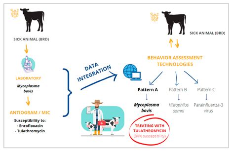 Technological Tools For The Early Detection Of Bovine Respiratory Disease In Farms