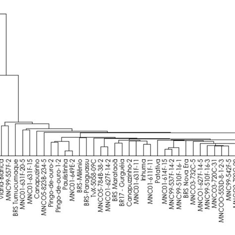 Dendrogram Representing Genetic Dissimilarity Among The 40 Genotypes