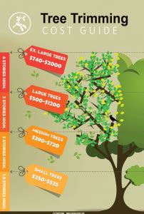 Tree Trimming Cost Price Guide With Examples