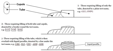 api analytical profile index 20e test result principle procedure