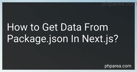 How To Get Data From Package Json In Next Js In