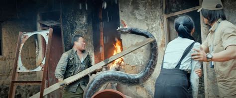 Monster Python 2018