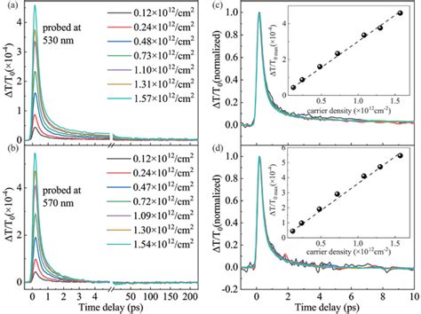 Photo‐injected Exciton Density‐dependent Transient Differential