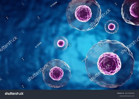 Research Stem Cells Stem Cells Under Stock Illustration 2527918319