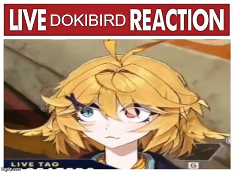Live Dokibird Reaction Imgflip