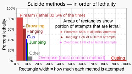 Suicide Methods Wikipedia