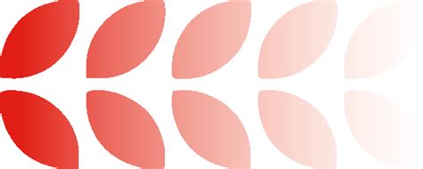 我校学子荣登《人民日报》国家奖学金获奖学生代表研究生全国学年度