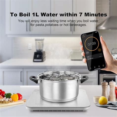 Ltmate 12 In Portable 1 Burner White Induction Cooktop Lsgit112aps M At
