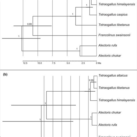 Time‐calibrated Phylogenies Inferred From The Multi‐locus Data Set By Download Scientific